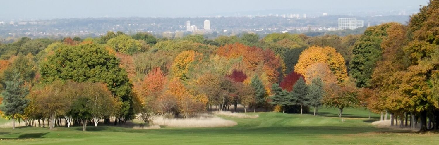 Home :: Established in 1929 on 166 acres of Surrey downland, Cuddington ...